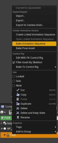 Recording and Playback of LiveLink Animations with your Metahuman ...